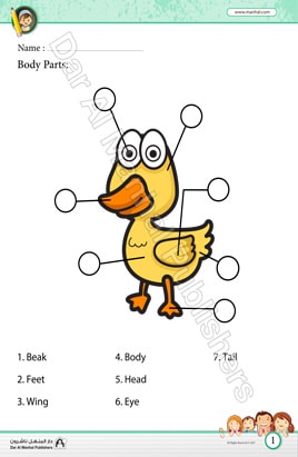Body Parts - Duck | Science WorkSheets