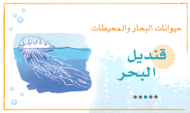 Jellyfish (Sea and Ocean Animals) | Science Interactive WorkSheets