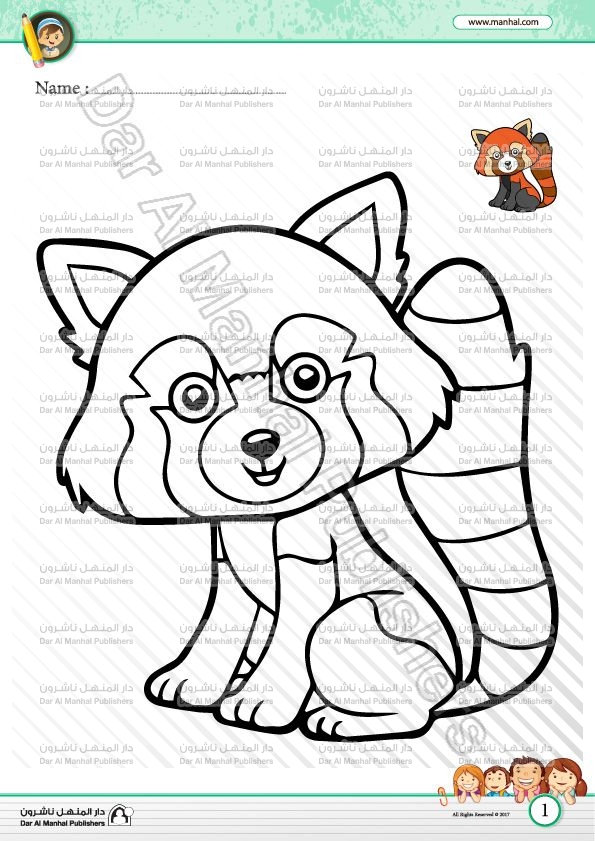 Color the Raccoon | Coloring WorkSheets