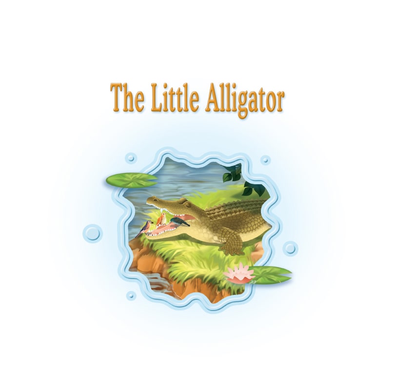 The Little Alligator